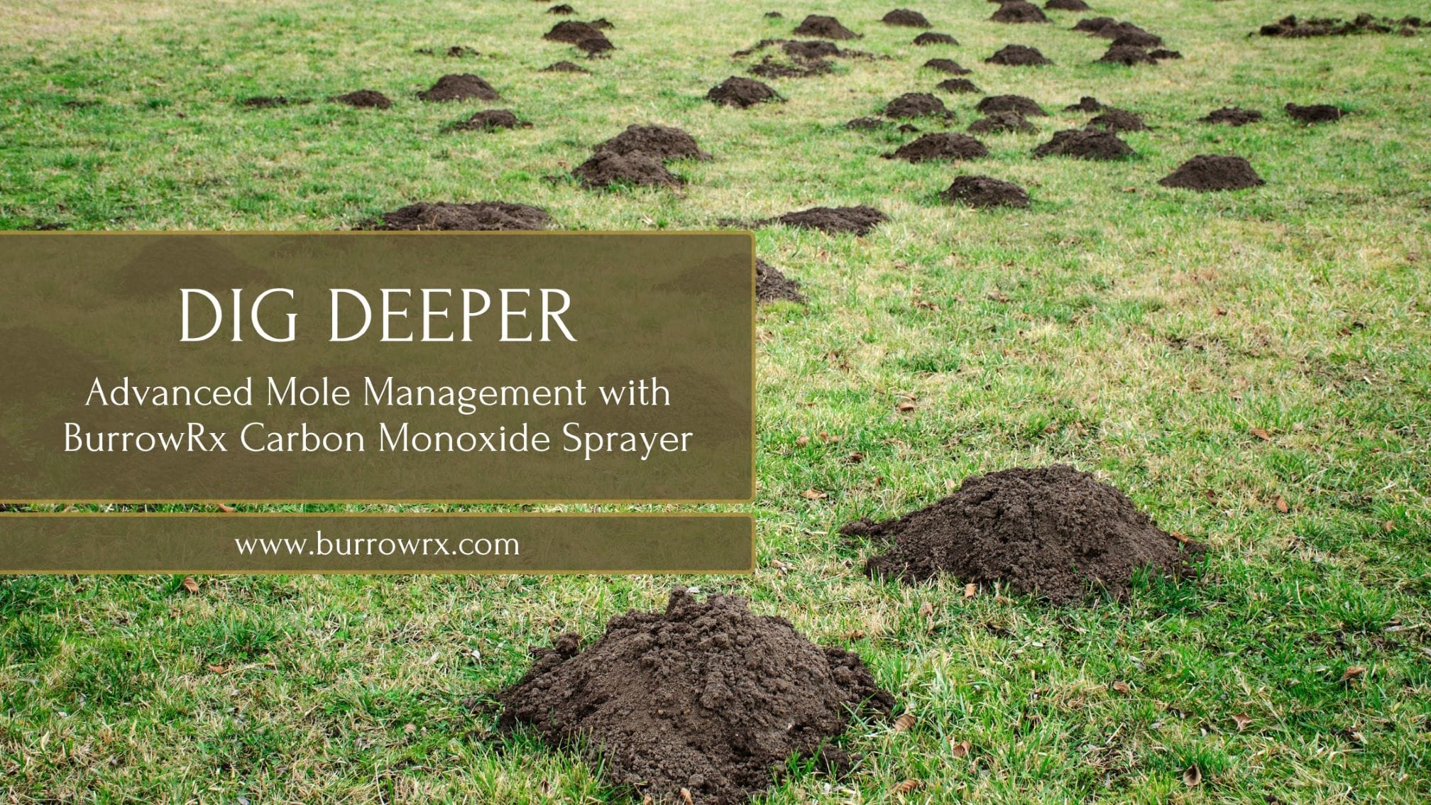 Dig Deeper: Advanced Mole Management with the BurrowRx Carbon Monoxide ...